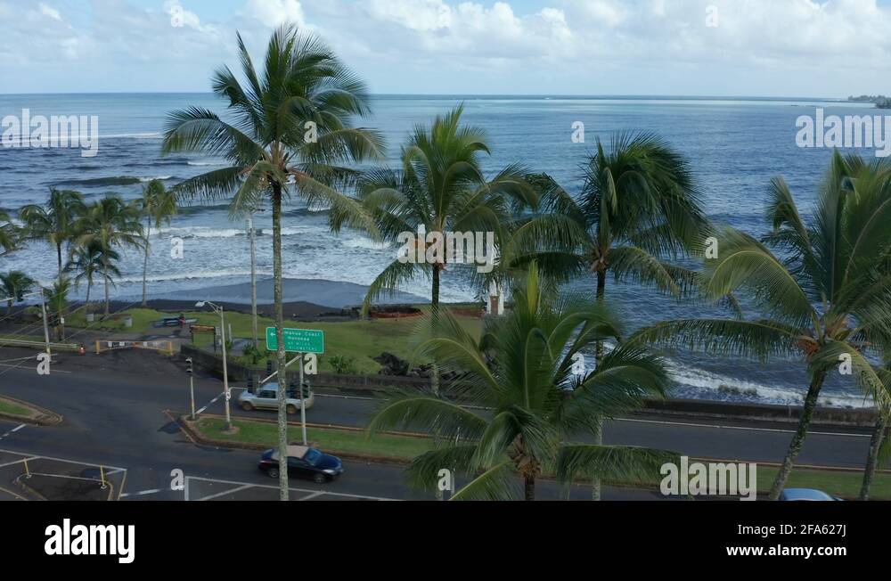 alt flying clockwise around palm trees with Hilo Bay in background Stock Video Footage - Alamy