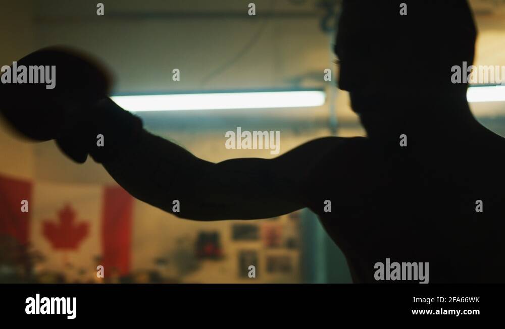 Boxer punching boxer Stock Videos & Footage - HD and 4K Video Clips - Alamy