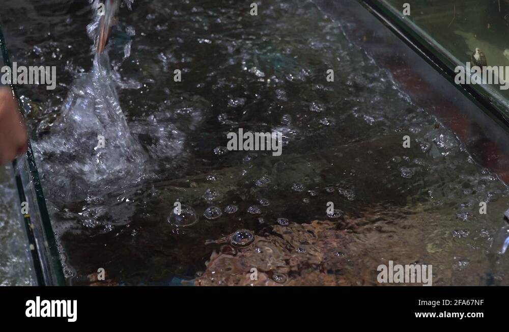 Tank jump Stock Videos & Footage - HD and 4K Video Clips - Alamy