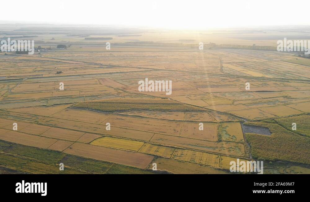Farm land beautiful sunshine Stock Videos & Footage - HD and 4K Video ...