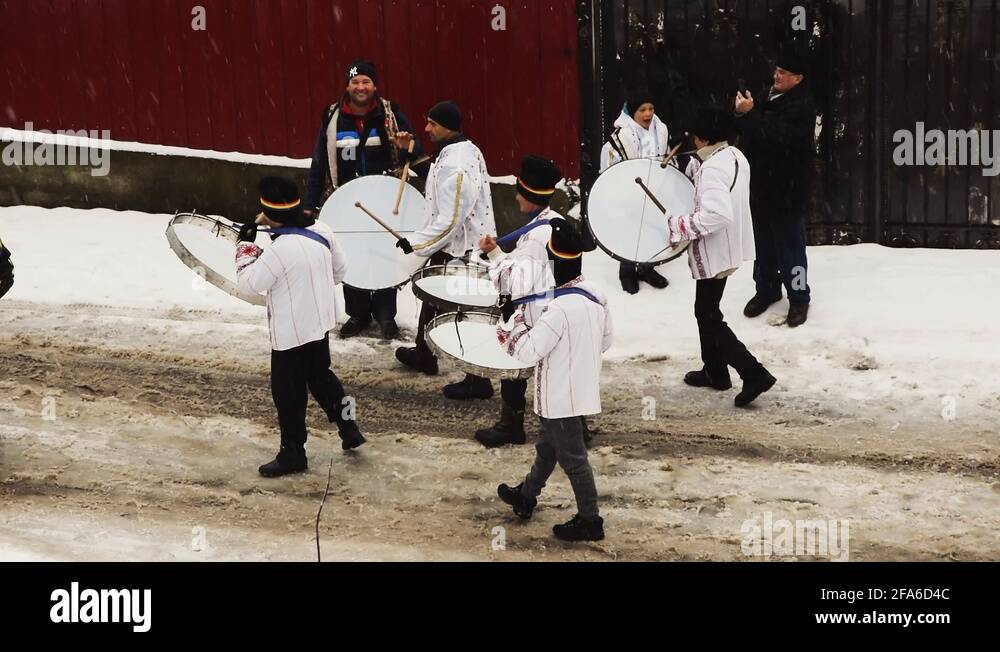 Marching bear Stock Videos & Footage - HD and 4K Video Clips - Alamy