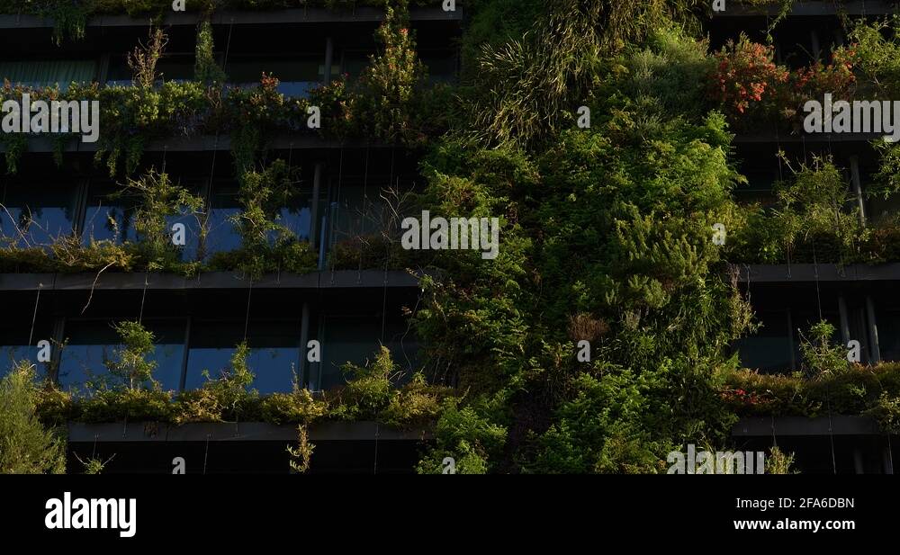 Tallest facade vertical Stock Videos & Footage - HD and 4K Video Clips ...