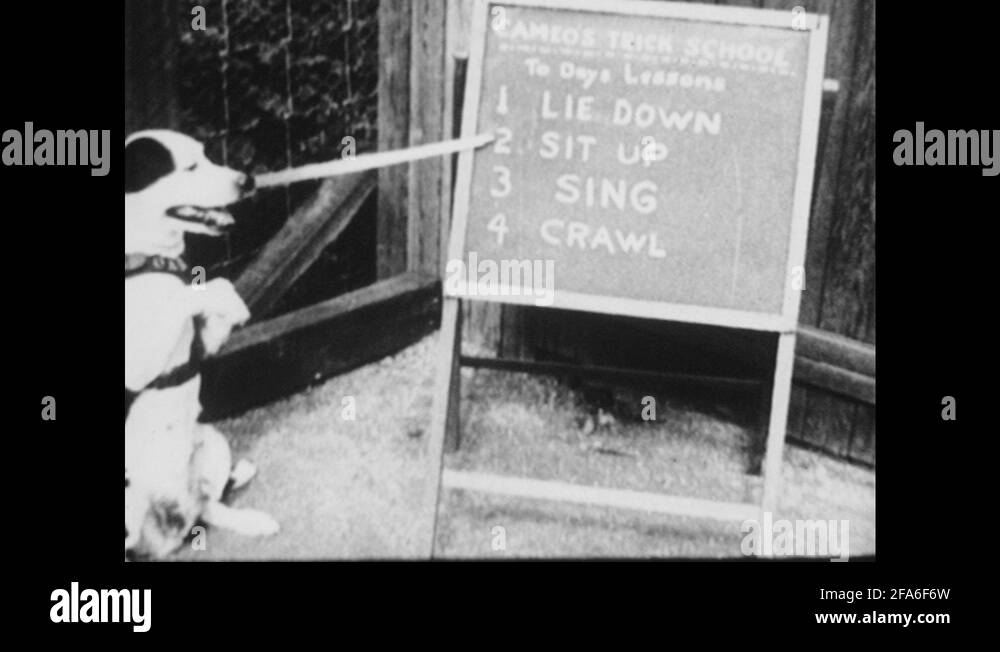 Stand up cap Stock Videos & Footage - HD and 4K Video Clips - Alamy