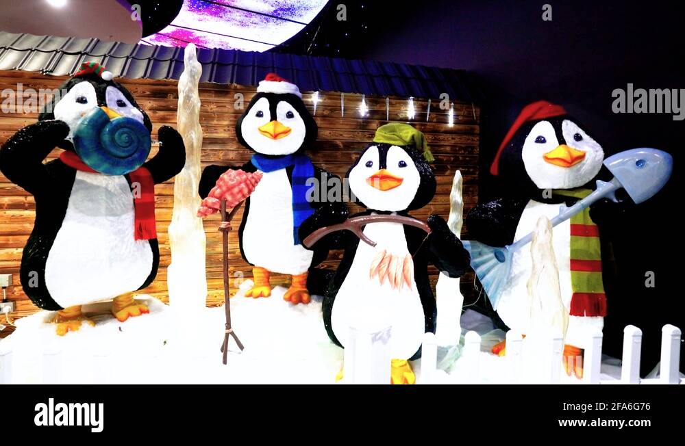 Animals playing musical instruments Stock Videos & Footage - HD and 4K ...