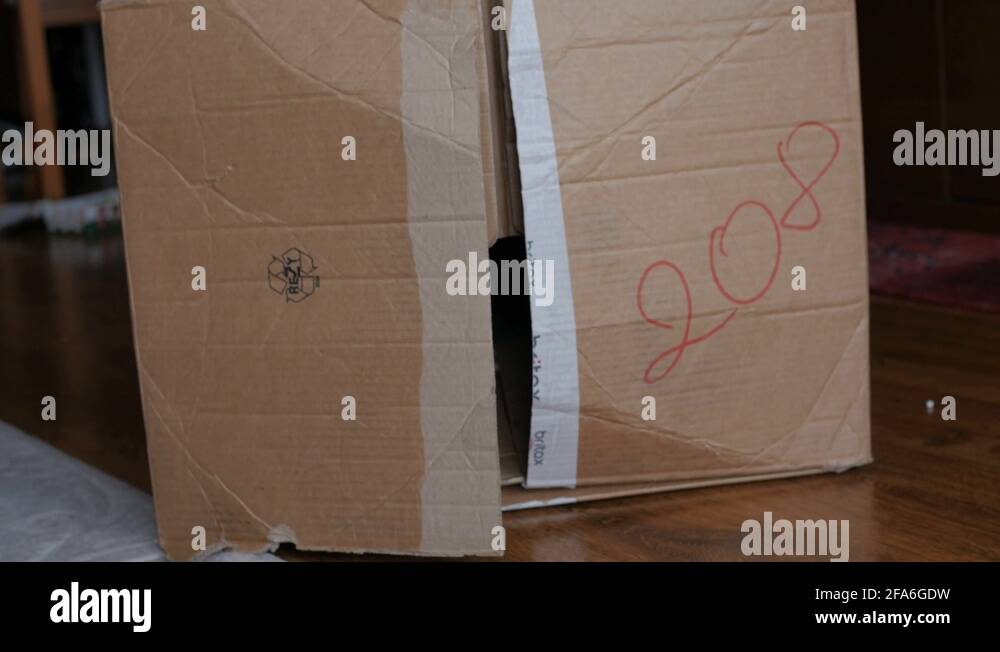 Boy playing cardboard box Stock Videos & Footage - HD and 4K Video ...