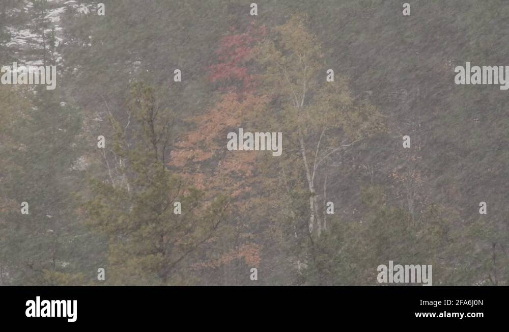 Midwest fall weather Stock Videos & Footage - HD and 4K Video Clips - Alamy