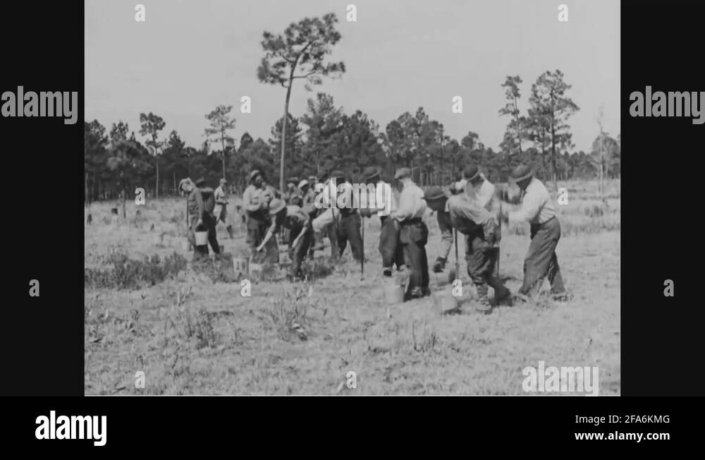 Civilian conservation corps ccc planting Stock Videos & Footage - HD ...