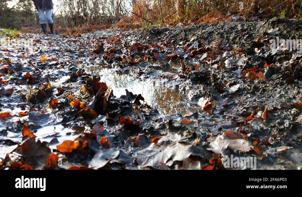Wellies soil Stock Videos & Footage - HD and 4K Video Clips - Alamy