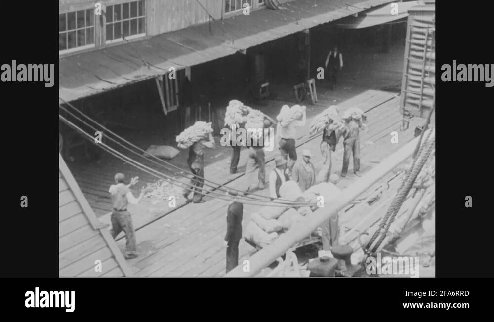 Import bananas Stock Videos & Footage - HD and 4K Video Clips - Alamy