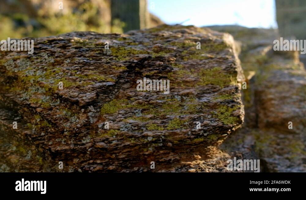 Algae deposit Stock Videos & Footage - HD and 4K Video Clips - Alamy