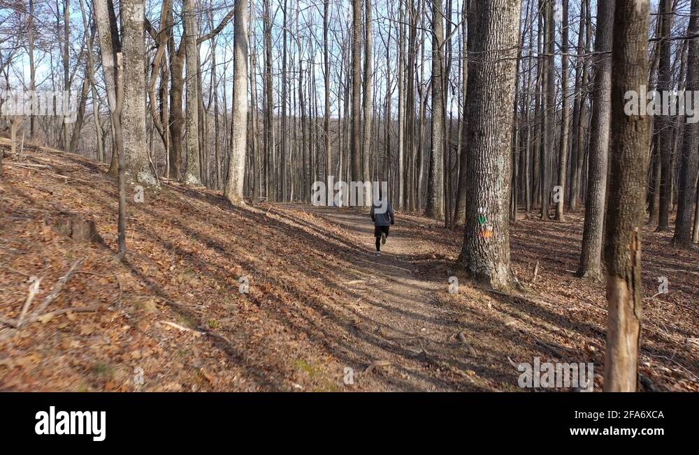 Aerial camera following behind a trail runner running down a trail in a ...