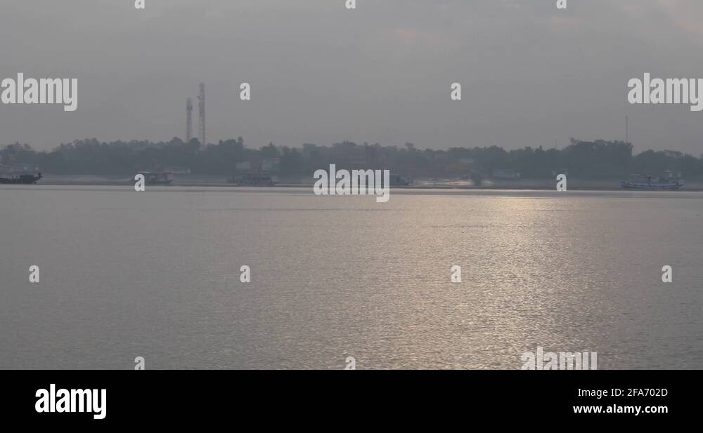 Mangrove swamp india Stock Videos & Footage - HD and 4K Video Clips - Alamy