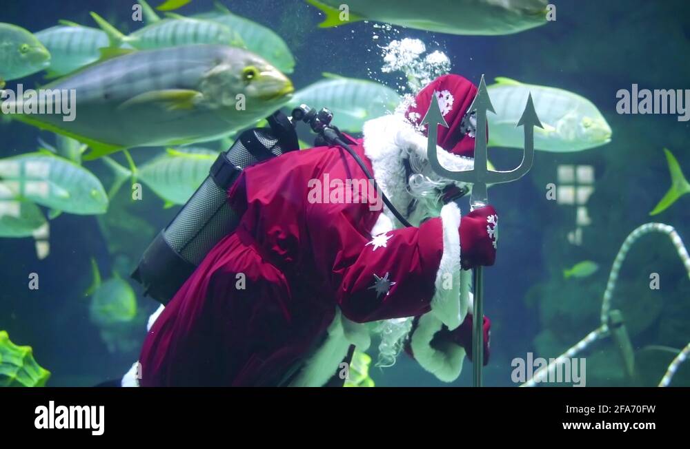 Traditional diving gear Stock Videos & Footage - HD and 4K Video Clips ...