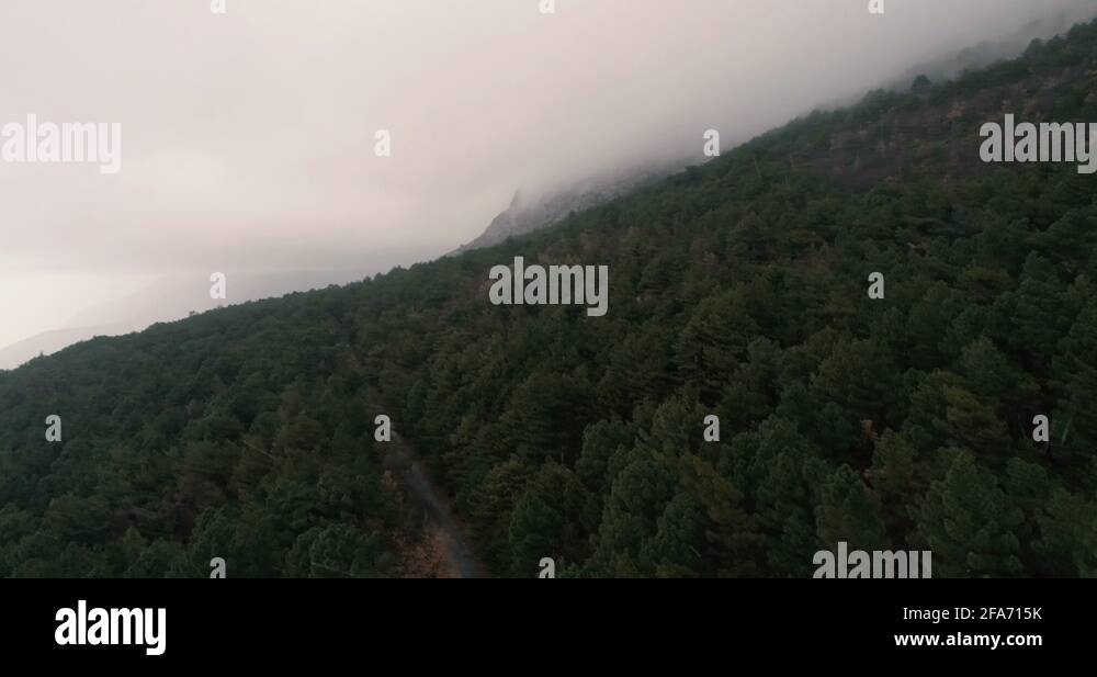 Raining over forest Stock Videos & Footage - HD and 4K Video Clips - Alamy