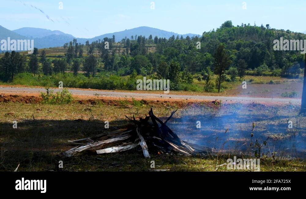 Raising fire Stock Videos & Footage - HD and 4K Video Clips - Alamy