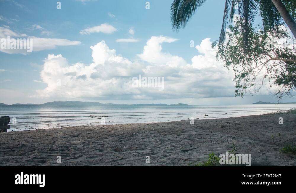 Dog relaxing at the beach - time lapse Stock Video Footage - Alamy