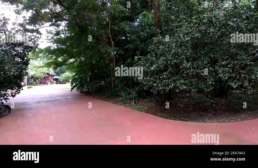 Pathway path structure Stock Videos & Footage - HD and 4K Video Clips ...