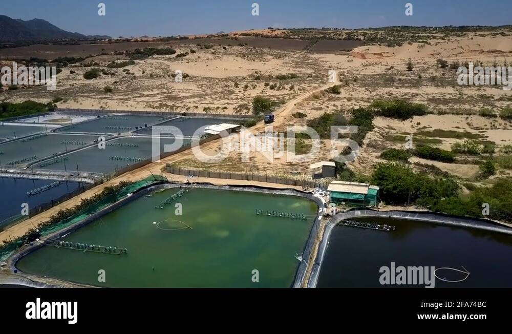 Aquaculture fish ponds Stock Videos & Footage - HD and 4K Video Clips ...