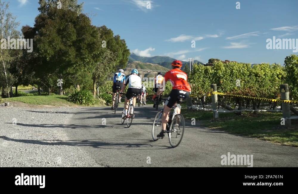 Static shot following group of bikers from behind racing with a winery ...