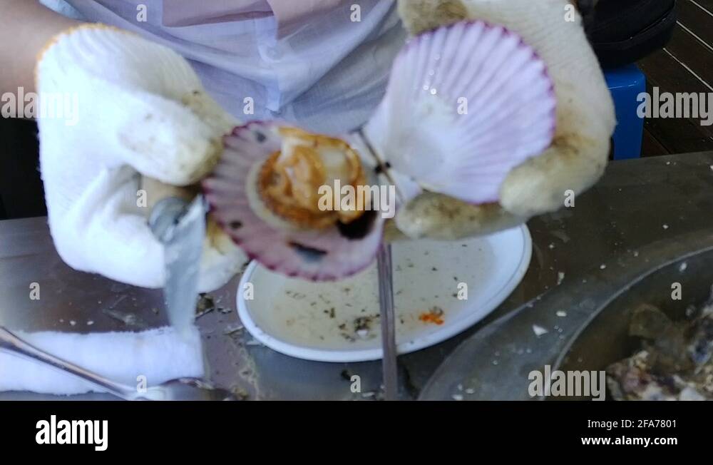 The seashell Stock Videos & Footage - HD and 4K Video Clips - Alamy