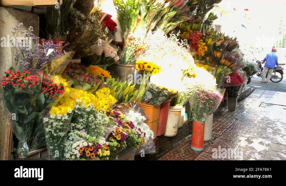 Daisy display Stock Videos & Footage - HD and 4K Video Clips - Alamy