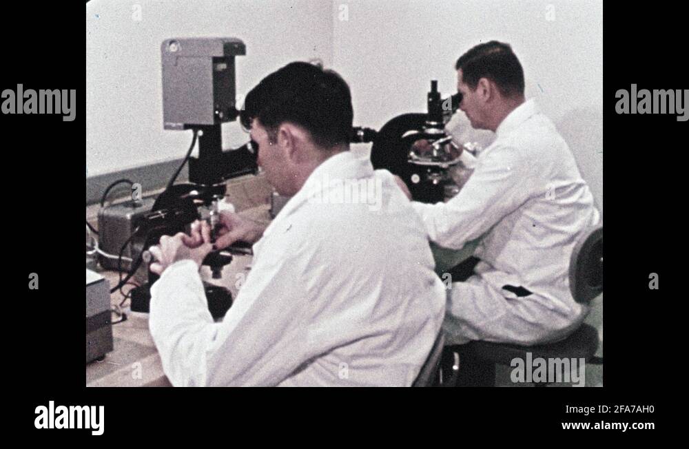 Look through microscope Stock Videos & Footage - HD and 4K Video Clips ...