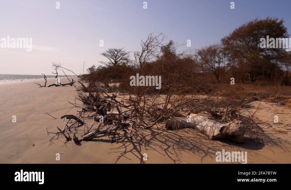 Pan view at the beach. Jinack Island, The Gambia Stock Video Footage ...