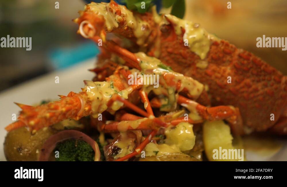 New zealand crab Stock Videos & Footage - HD and 4K Video Clips - Alamy