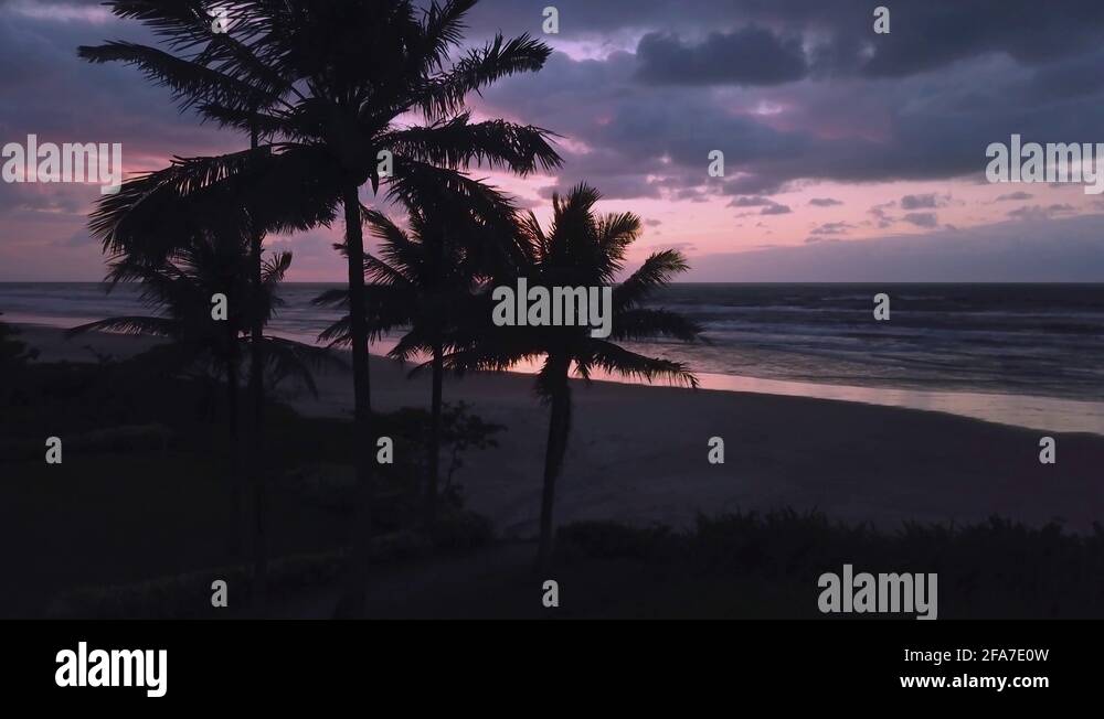 Brazil palm trees beach Stock Videos & Footage - HD and 4K Video Clips ...