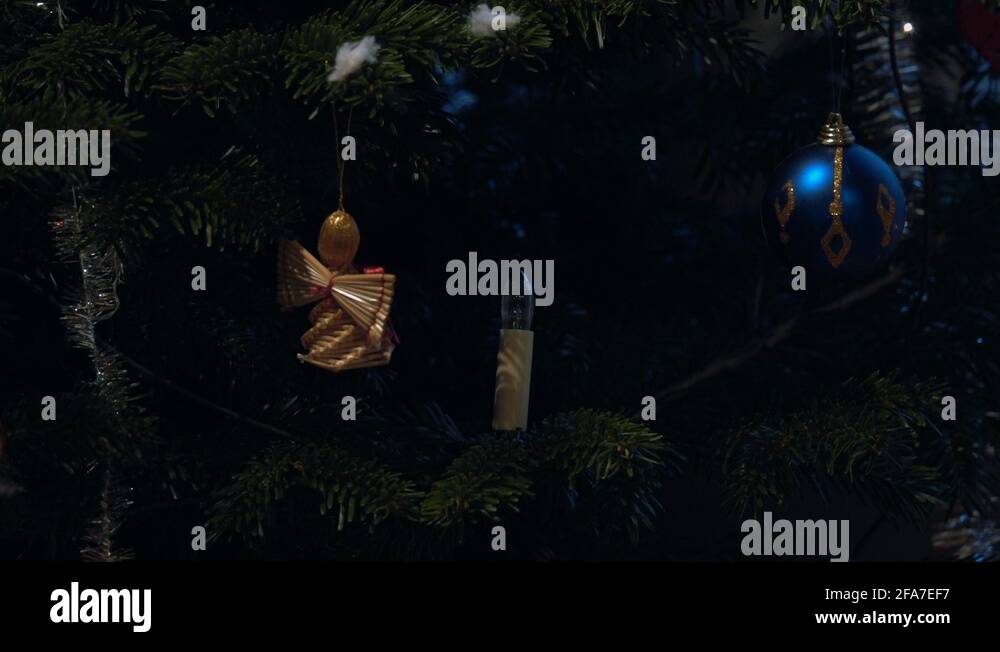 Cotton ball tree Stock Videos & Footage - HD and 4K Video Clips - Alamy