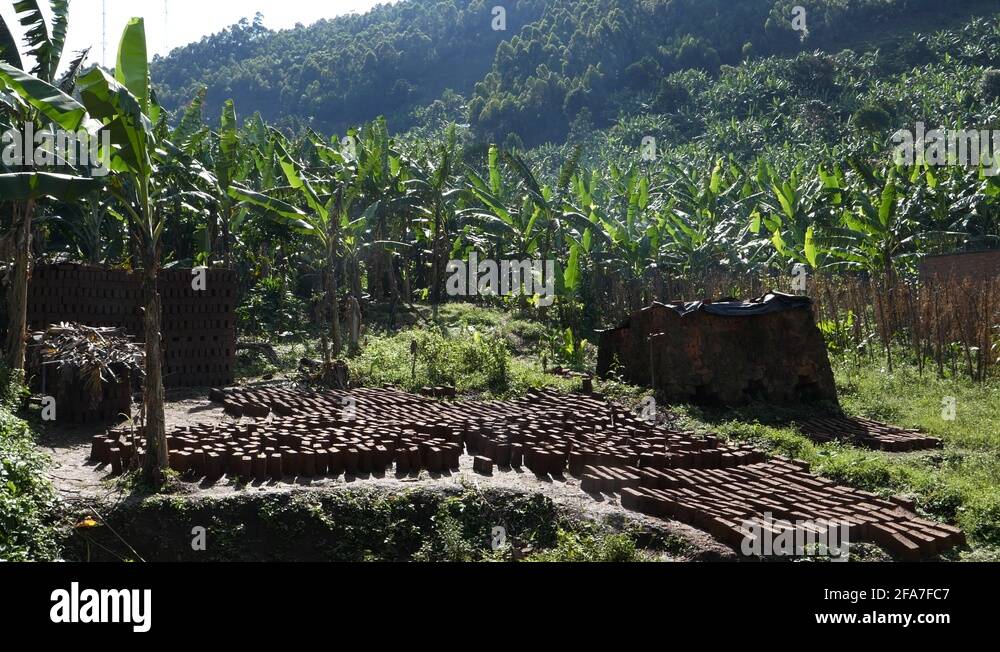 Brick manufacturing Stock Videos & Footage - HD and 4K Video Clips - Alamy