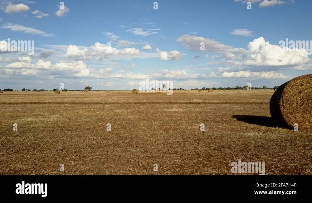 Vast open spaces Stock Videos & Footage - HD and 4K Video Clips - Alamy