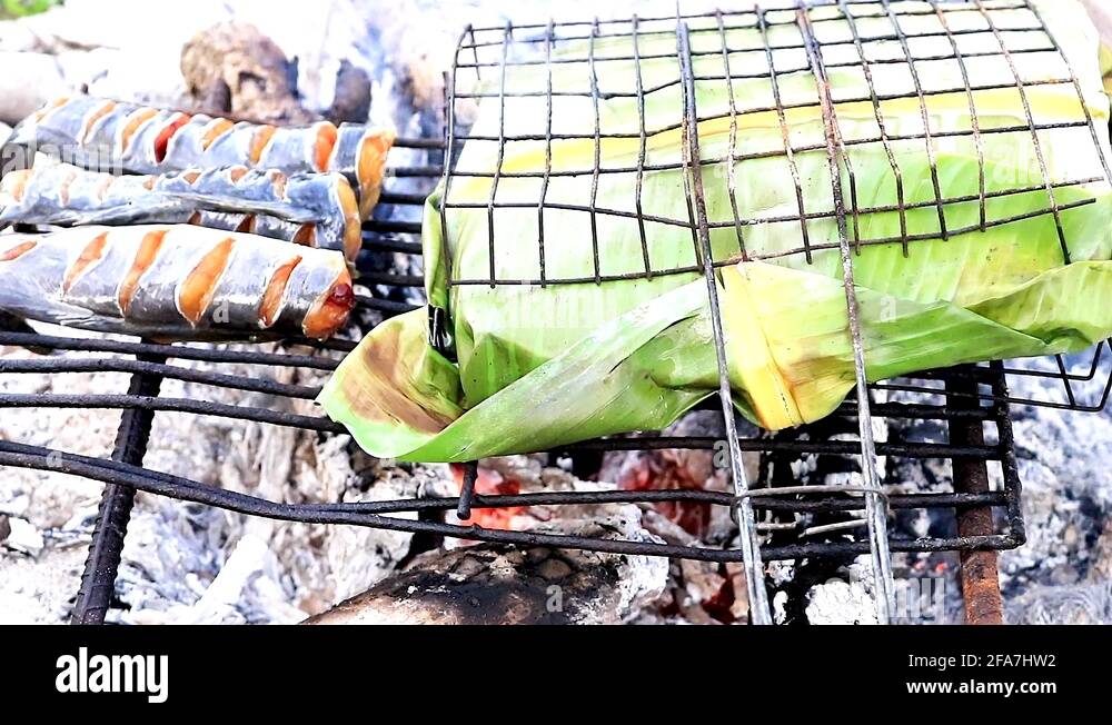 Banana catfish Stock Videos & Footage - HD and 4K Video Clips - Alamy