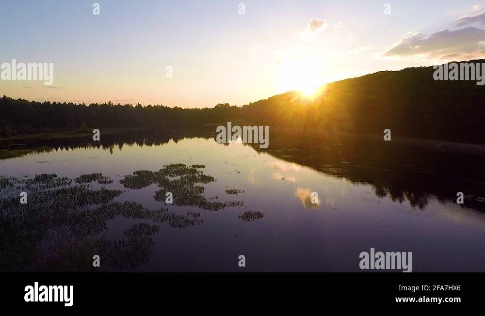 Lake treeline aerial Stock Videos & Footage - HD and 4K Video Clips - Alamy