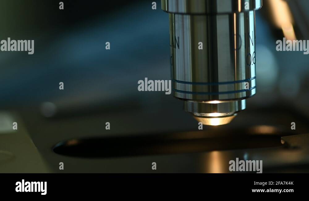 Magnifying microscope Stock Videos & Footage - HD and 4K Video Clips ...