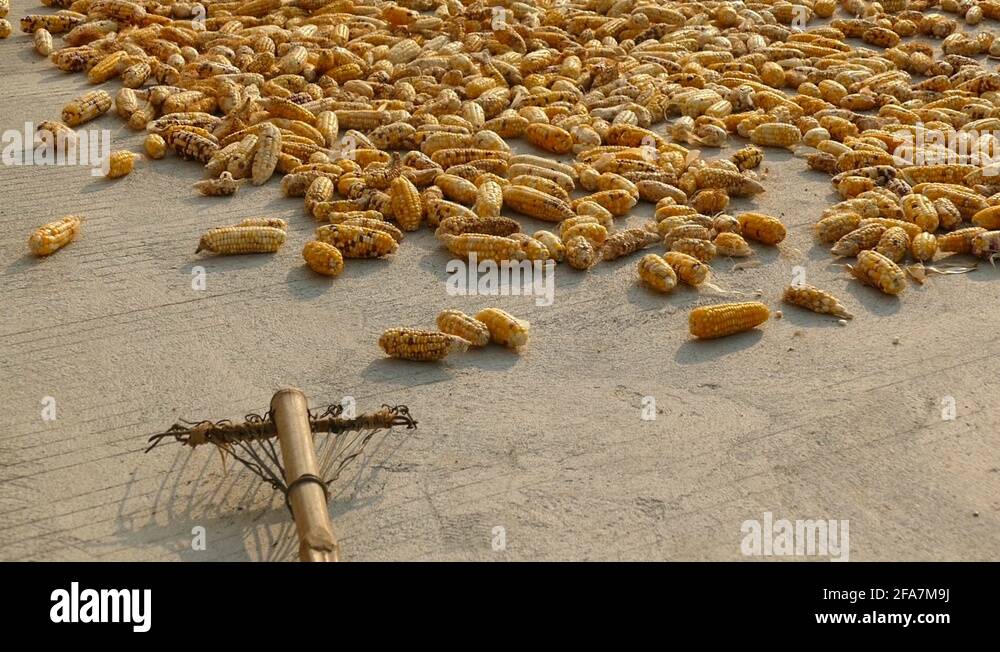 Ground provisions Stock Videos & Footage - HD and 4K Video Clips - Alamy