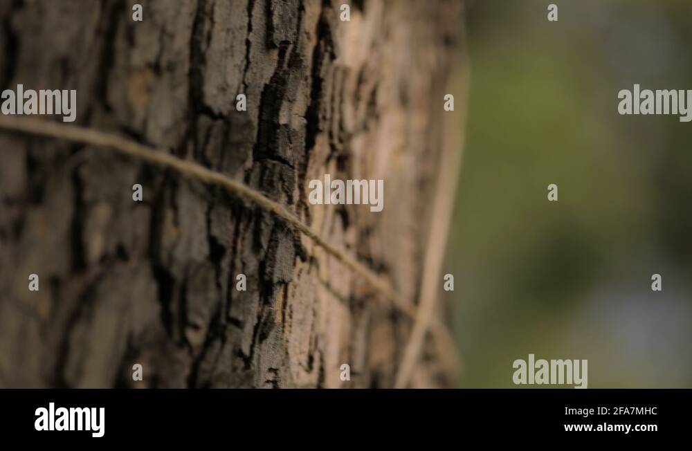 Wound rope Stock Videos & Footage - HD and 4K Video Clips - Alamy