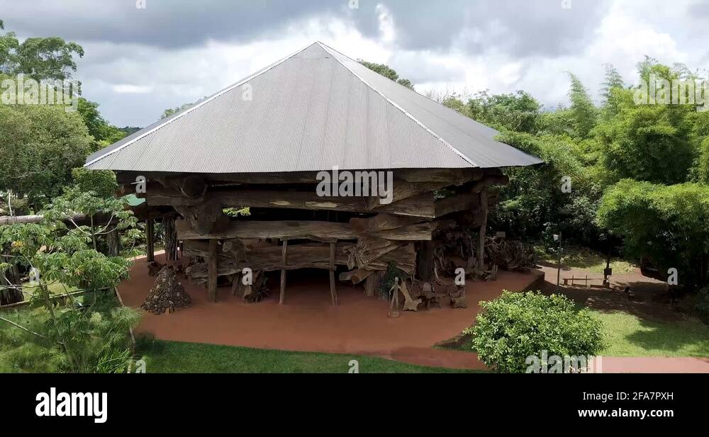 Log trap Stock Videos & Footage - HD and 4K Video Clips - Alamy