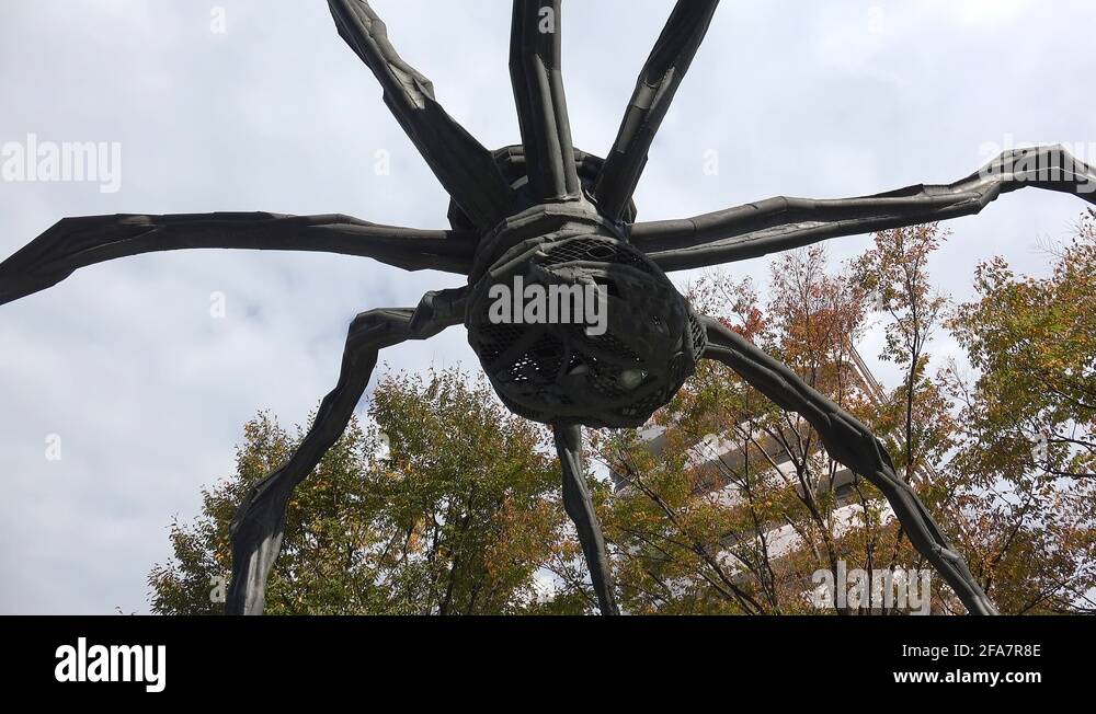 Spider mama Stock Videos & Footage - HD and 4K Video Clips - Alamy
