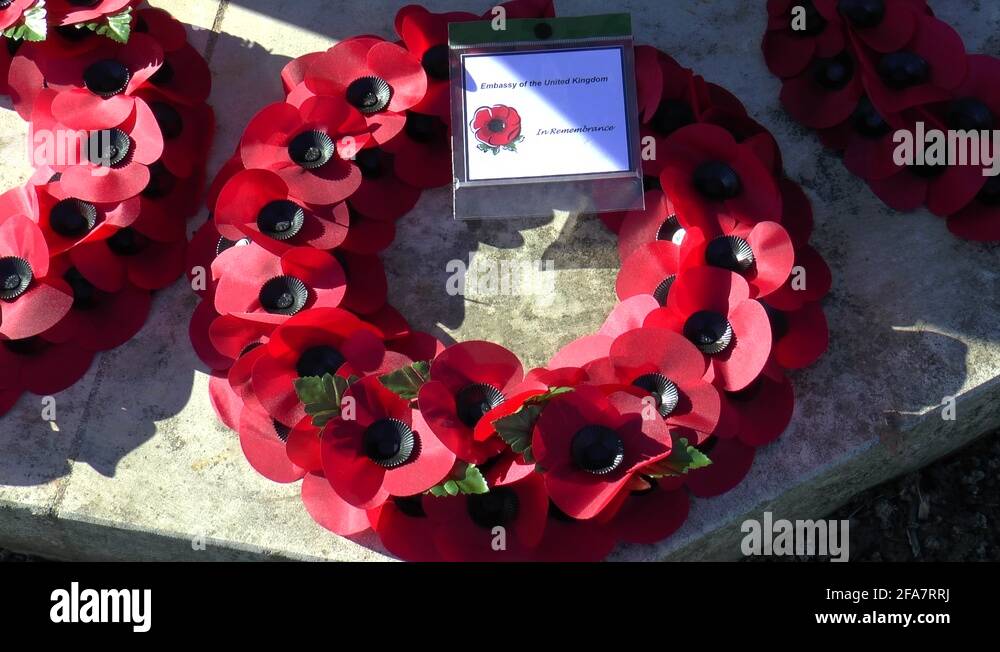 Remembrance wreaths Stock Videos & Footage - HD and 4K Video Clips - Alamy