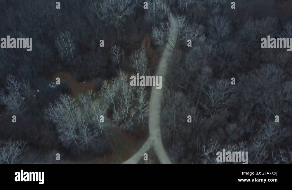 Dead forestry Stock Videos & Footage - HD and 4K Video Clips - Alamy