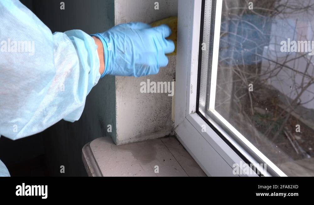 Treating damp Stock Videos & Footage - HD and 4K Video Clips - Alamy