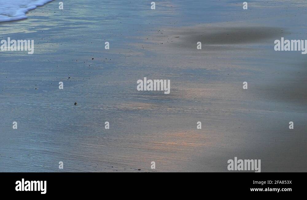 Flat beach sand Stock Videos & Footage - HD and 4K Video Clips - Alamy