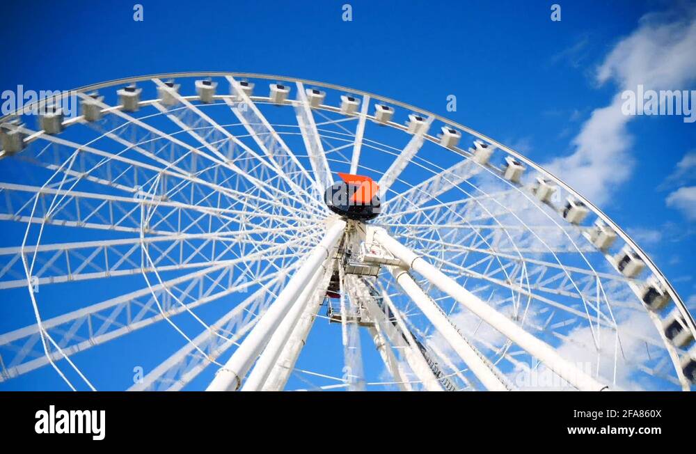 Brisbane eye Stock Videos & Footage - HD and 4K Video Clips - Alamy