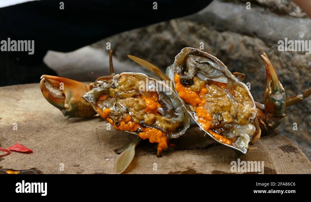 The ovary and digestive Stock Videos & Footage - HD and 4K Video Clips ...