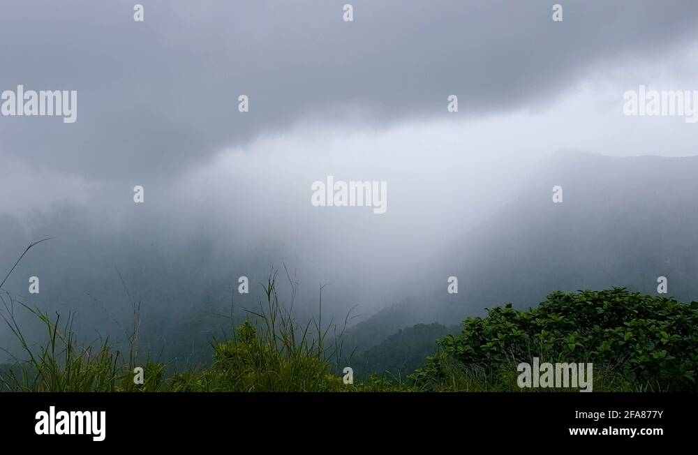 Vagamon kerala india Stock Videos & Footage - HD and 4K Video Clips - Alamy