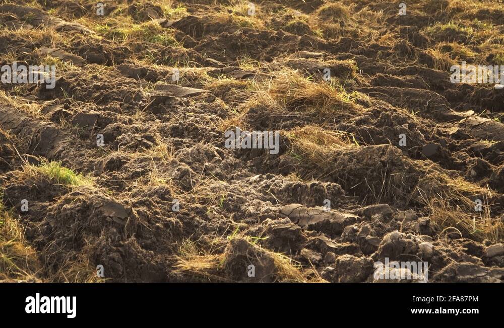 Rough farm terrain Stock Videos & Footage - HD and 4K Video Clips - Alamy