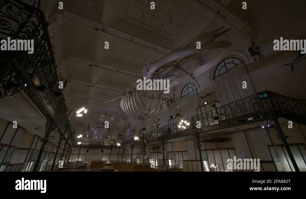 Museum science ceiling display Stock Videos & Footage - HD and 4K Video ...