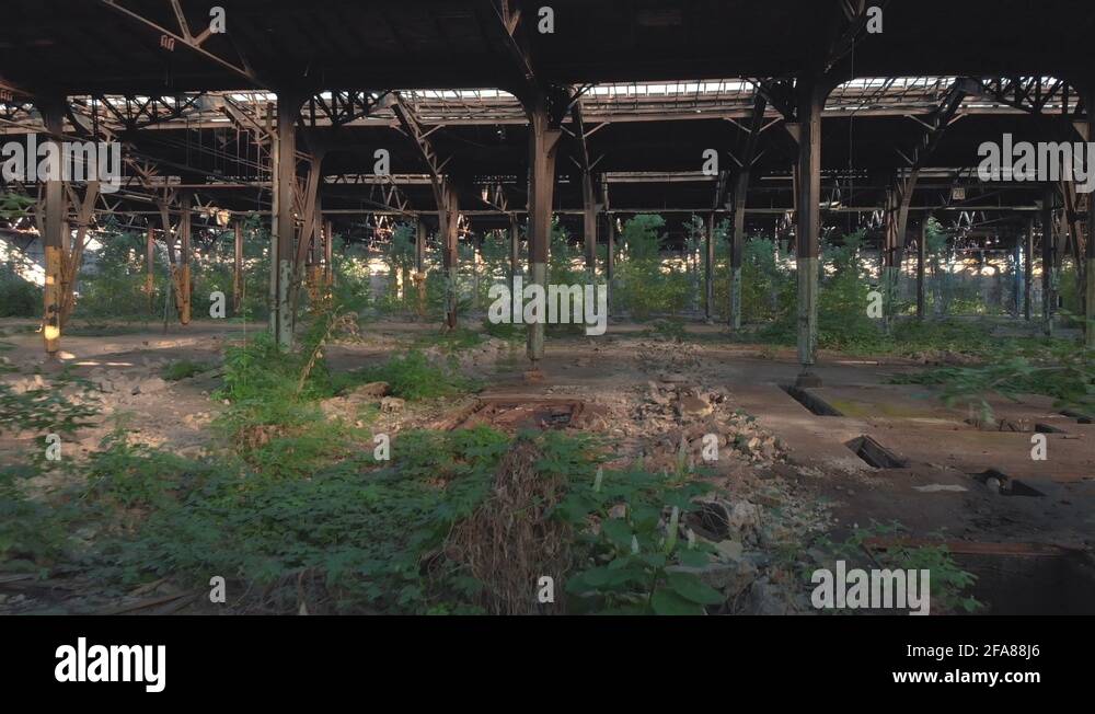 Ash hall Stock Videos & Footage - HD and 4K Video Clips - Alamy