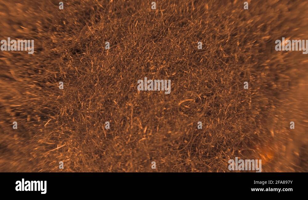 Fire steel wool Stock Videos & Footage - HD and 4K Video Clips - Alamy